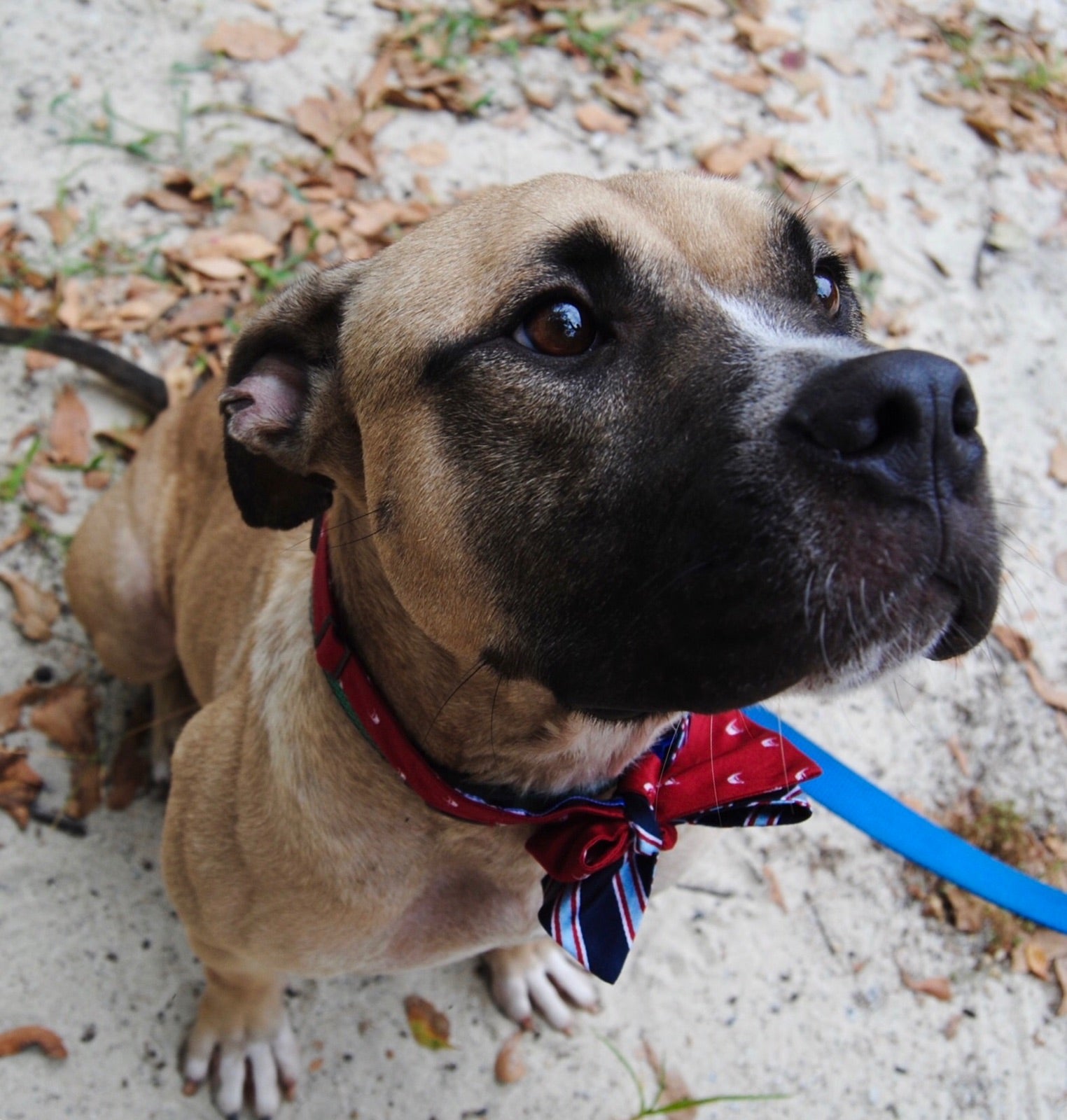 Deck Head Pup of the Month!